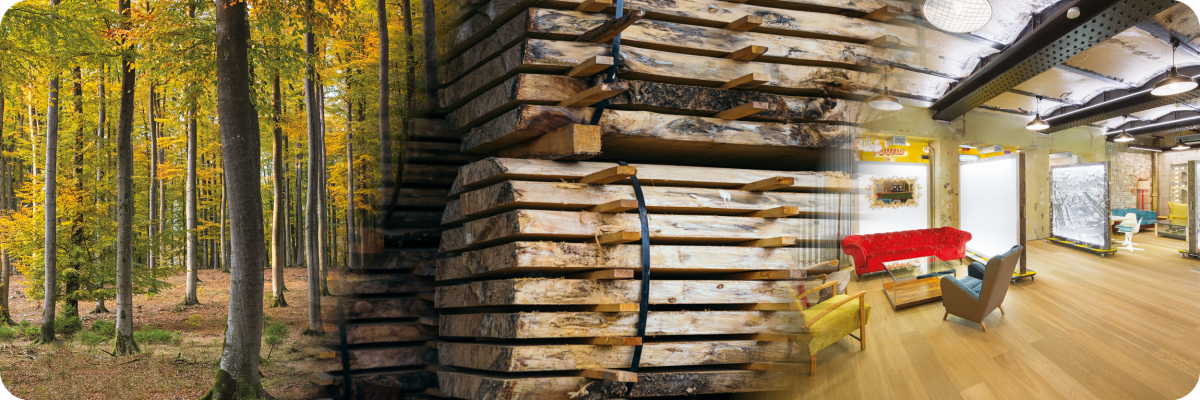 Designing the Future with Sustainable Timber - Archetech