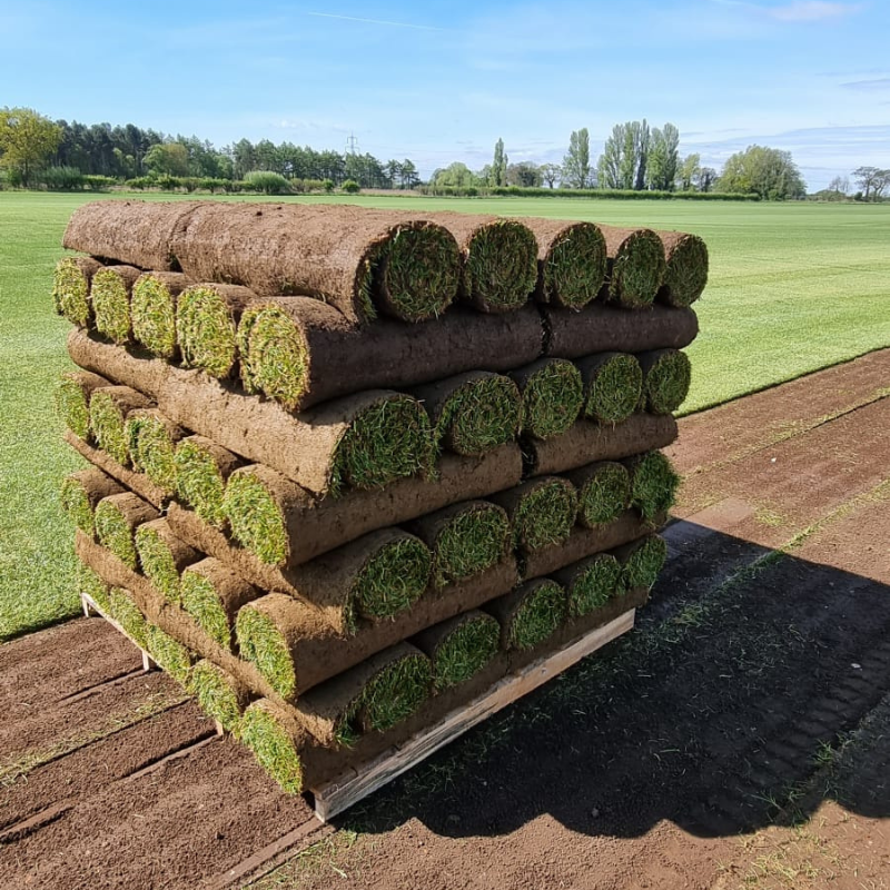RTF Turf is the new generation of turf - Archetech
