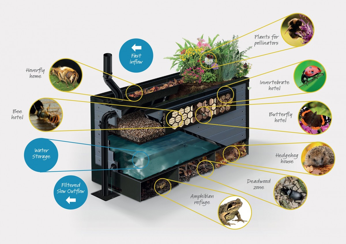 SuDs_Unit_Annotated_With_Species_Images – Archetech